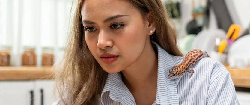 Lizard Falling on Female Body Meaning in Astrology Explained